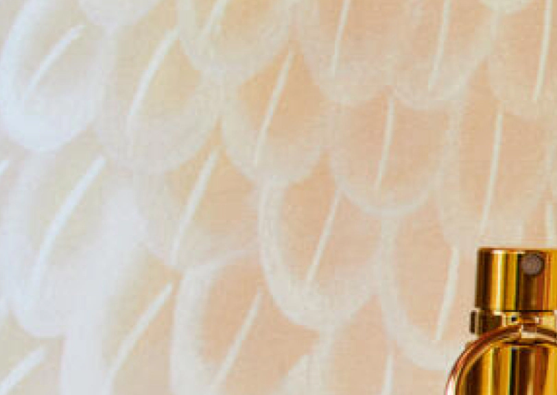 MYER | Shop Fashion, Homewares, Beauty, Toys & More