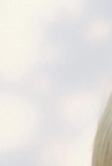 MYER | Shop Fashion, Homewares, Beauty, Toys & More