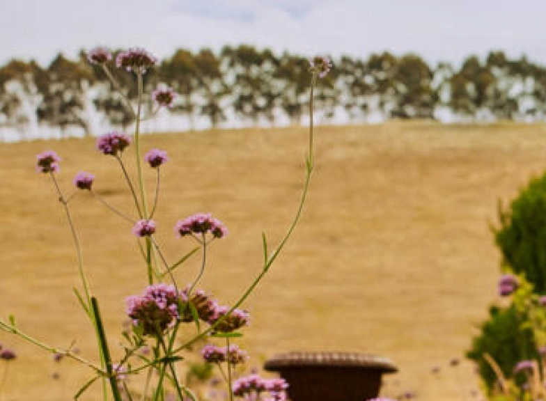 Kids & Baby Clothing | Shop Kids & Baby Clothes Online | MYER