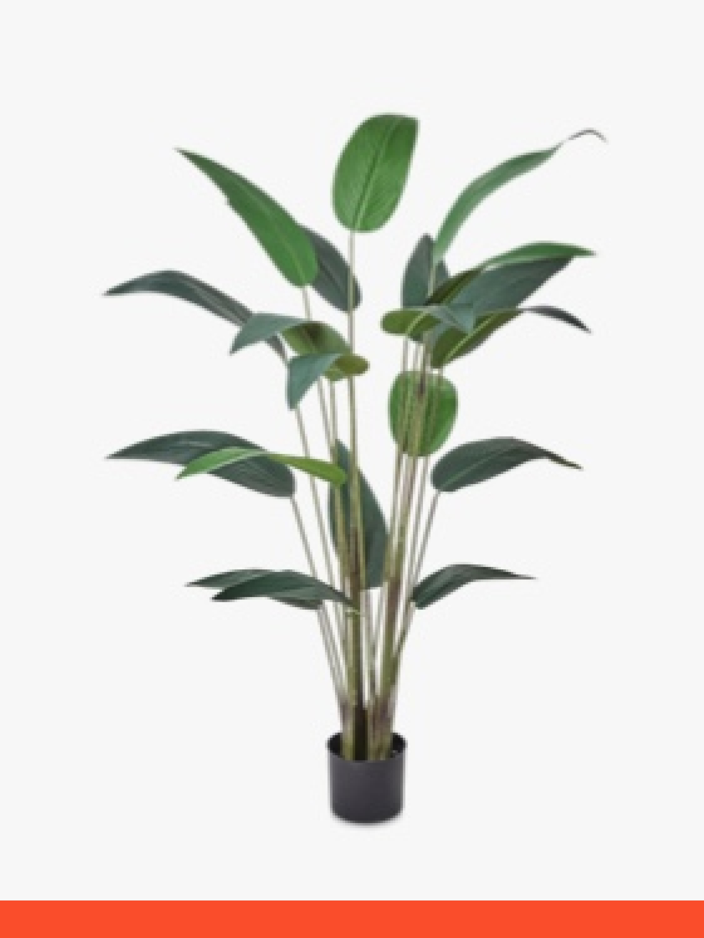 Homewares | Shop Home Decor & Essentials Online | MYER